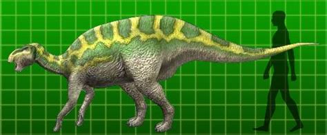 Fukuisaurus Dinosaur King Fandom