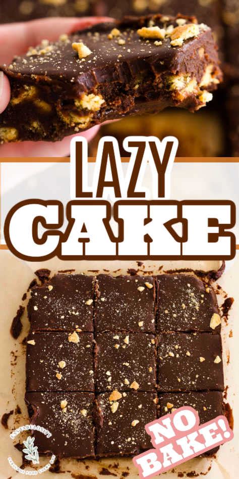 Lazy Cake Fantabulosity