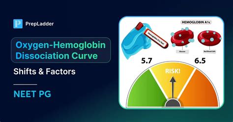 Oxygen Hemoglobin Dissociation Curve Shifts Factors Neet Pg 2026