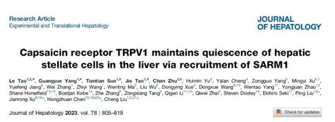 刘成、陈红专、徐见容、刘平团队合作在辣椒素受体作为潜在靶点调控肝纤维化研究取得新进展