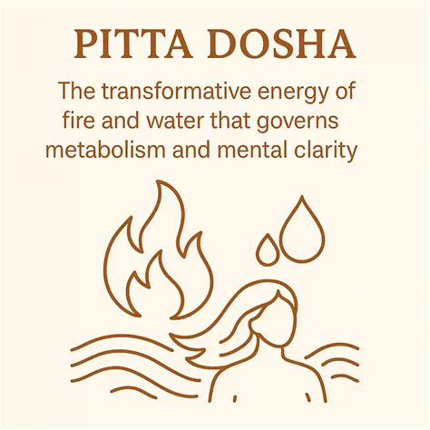 Kapha Dosha Meaning Traits And Balancing Tips In Ayurveda