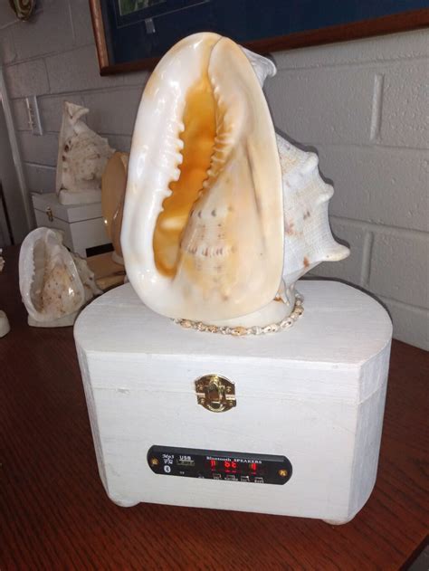 The Magic Conch Parts Express Project Gallery