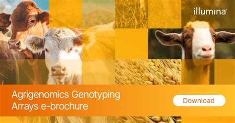 André Eggen On Linkedin Agrigenomicsgenotypingarraysportfolioflyerpdf