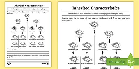 Inheritance Homework Worksheet Worksheet Teacher Made
