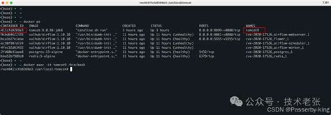 Apache Tomcat 远程代码执行漏洞cve 2025 24813 超详细！ Csdn博客