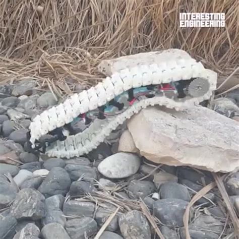 Dr Kamal Peiris Posted On Linkedin