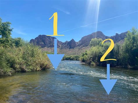 How To Catch Rainbow Trout Landing Beautiful Aggressive Fish AnglerWise