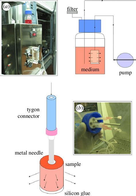 Radial Perfusion Bioreactor System A Scheme Of Basic Components And Download Scientific