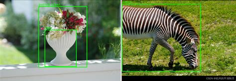 Github Westlake Moonlight Train Yolov4 Csp With Coco Dataset Train The Yolov4 Csp Detector