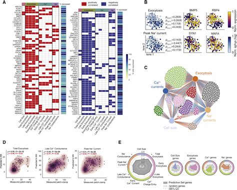 Patch Seq Links Single Cell Transcriptomes To Human Islet Dysfunction In Diabetes Cell Metabolism