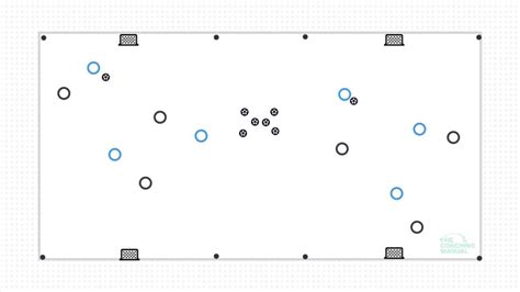 3 V 3 The Coaching Manual
