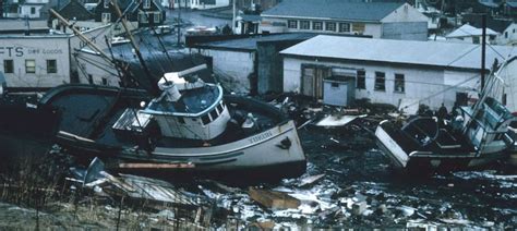 Resilient Architecture Designing For Natural Disasters