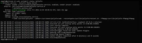 How To Install Jellyfin Media Server In Ubuntu Linux Mint ImagineLinux