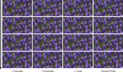 Figure 14 From Scalable Neural Video Representations With Learnable Positional Features