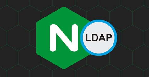 Nginx Shares Mitigations For Zero Day Bug Affecting Ldap Implementation