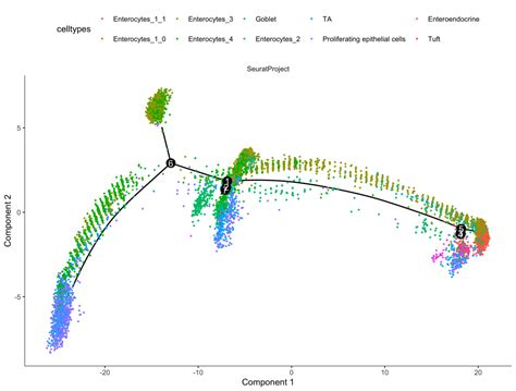 Pseudotime Analysis Rbioinformatics
