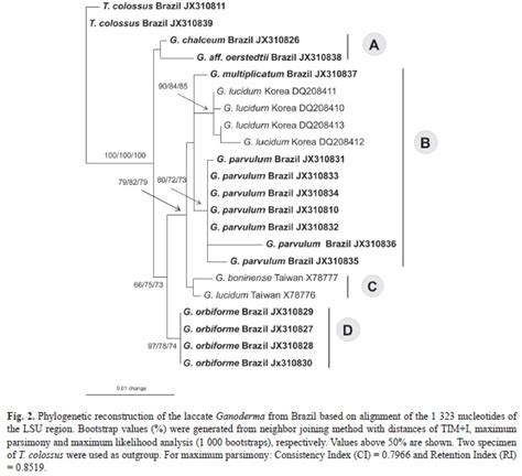 Delimitación De Algunos Ganoderma Ganodermataceae Lacados Neotropicales Filogenia Molecular Y