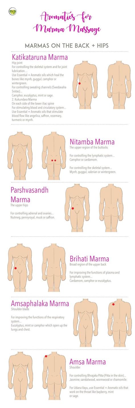 Essential Oils For Marma Chikitsa Marma Point Massage Infographics
