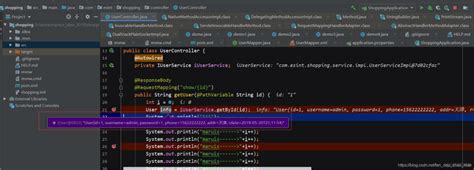 Idea的debug时set Value Java对象 Idea Debug设置值mob64ca1404baa2的技术博客51cto博客