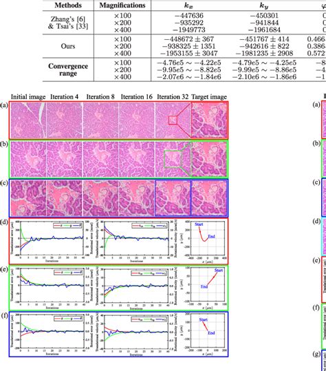 Figure 1 From Multi Scale Visual Servoing Framework For Optical Microscopy Based On Sift