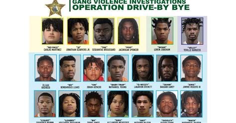 Operation Drive By Bye Nets 19 Suspected Members Of Five Gangs News