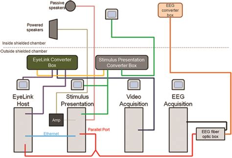 Combining Computer Game Based Behavioural Experiments With High Density Eeg And Infrared Gaze