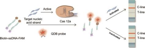 Acs Applied Materials And Interfaces Journal Acs Publications