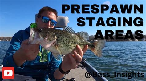 How To Catch Pre Spawn Bass Youtube