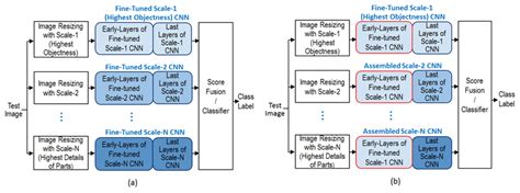 The Multi Scale Cnn For The Inference Process A Fine Tuned Early