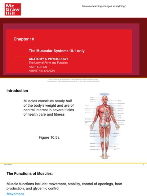 10 1 Structural And Functional Organization Of Muscle Abbreviated Oct 25 2022 Pdf