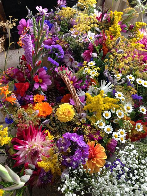 August Flowers British Flowers August Flowers Pretty Flowers