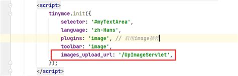 Servlet实现tinymce图片上传 洋芋博客