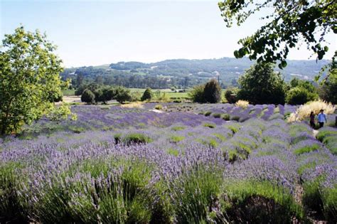 Michelle 米雪兒奇幻樂園 Added A New Photo Michelle 米雪兒奇幻樂園