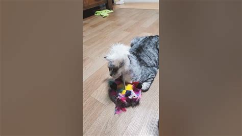 뚜비 인형하고 놀아요 영상을 보시는 모든분 행복하세요 Youtube