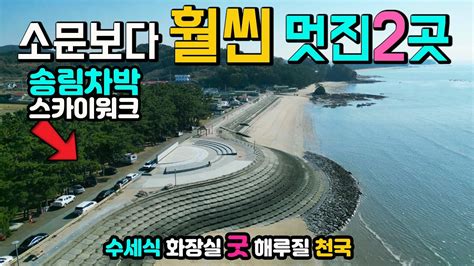 비인해변 장항 스카이워크 세계 유네스코 해변 송림 차박 캠핑 현지를 잘 아는 캠퍼들만 간다는 명소 수돗가 수세식화장실