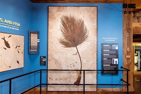 The Ark Encounters Flood Geology Exhibit Gets Stunning Upgrade Ark