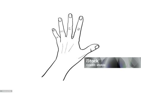 손 제스처 벡터 스케치 신체 언어 개념 손 사인 Stop 대화형 통신 세트 다른 위치에 손을 표시 및 가리키기 유지 및 표현에 대한 팔 제스처 손가락 마디에 대한 스톡 벡터