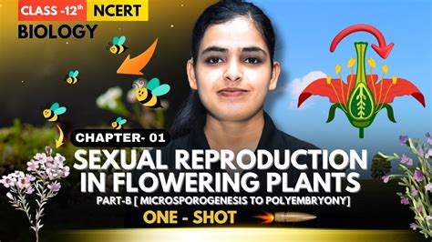 Class 12 Biology Chapter 1 Part B Microsporogenesis To Polyembryony One Shot Aromatic