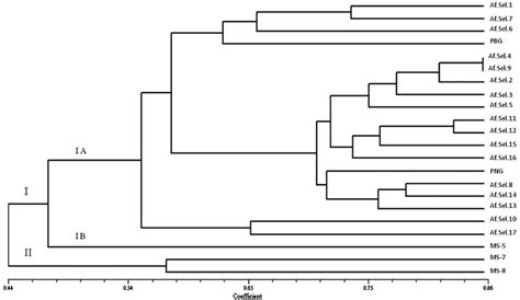 dendrogram based on the similarity index values of 22 marigold