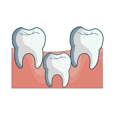 Illustration Of Teeth 36531053 Vector Art At Vecteezy