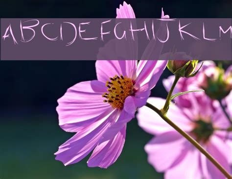 Scratch Kit Font FFonts Net Scratch Kit Font FFonts Net