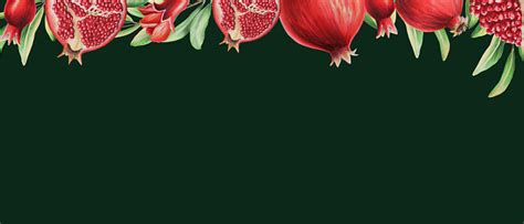 가지가 있는 수채화 석류 배너 익은 조각 꽃과 석류의 씨앗 손으로 그린 현실적인 맛있는 가닛 빨간 과일 격리 개체 그룹에 대한