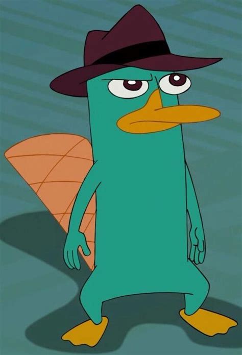Agent P Perry The Platypus Cartoon Caracters Perry The Platypus