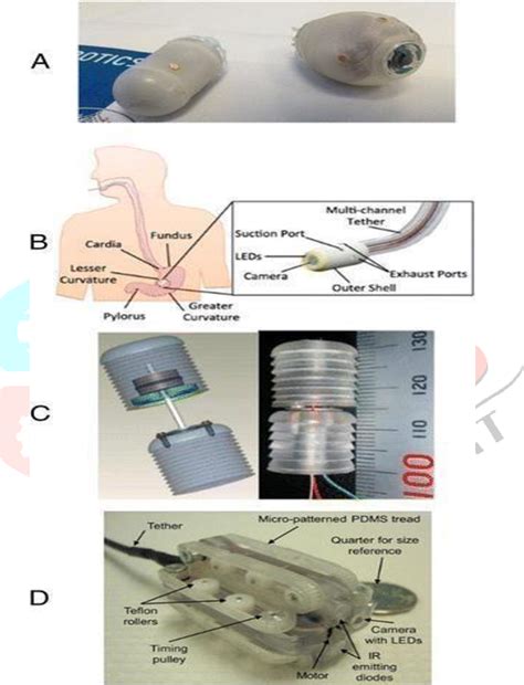Figure 1 From A Review On Robotic Capsule For Drug Delivery To The