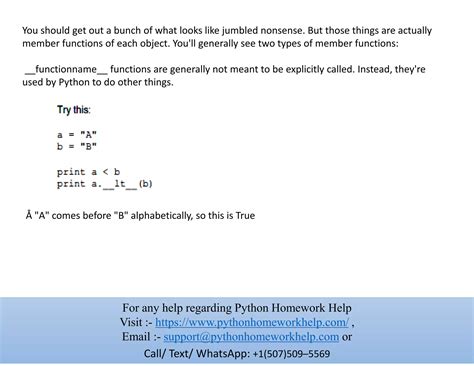 Python Homework Help Ppt