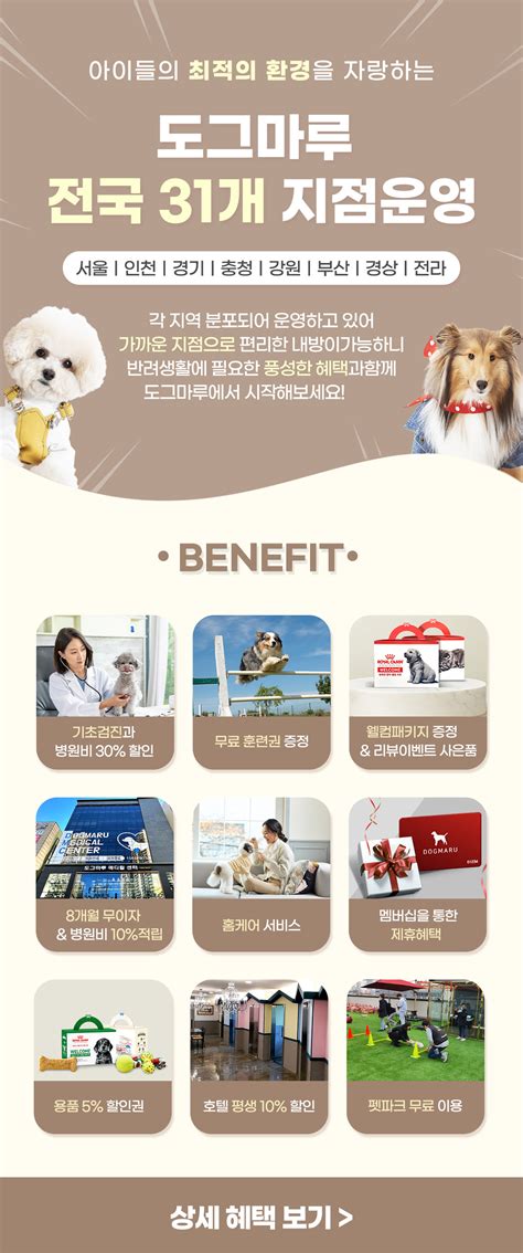 강아지무료분양 고양이무료분양 도그마루 보호소 유기견 강아지입양 유기견입양 고양이입양 유기견무료분양 유기묘보호소 강아지파양 유기묘입양