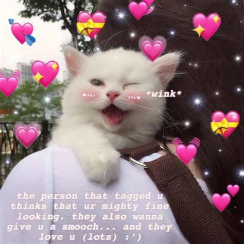 40 Love Memes To Share With Your Special Someone Bored Panda