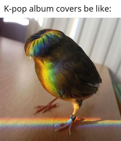 Stylish Borb Scrolller