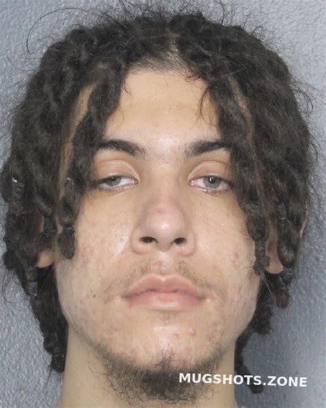 Valdes Jorge Felix Broward County Mugshots Zone
