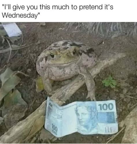 The 26 Funniest Toad Memes Ranked